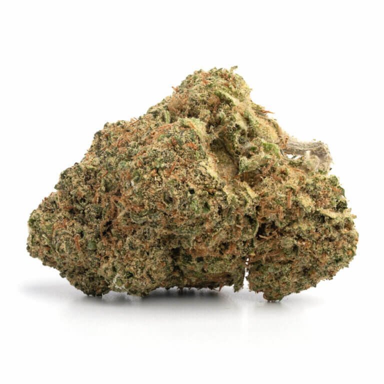 Buy Amnesia Haze THCa Flower – Premium Wholesale Strain For European ...