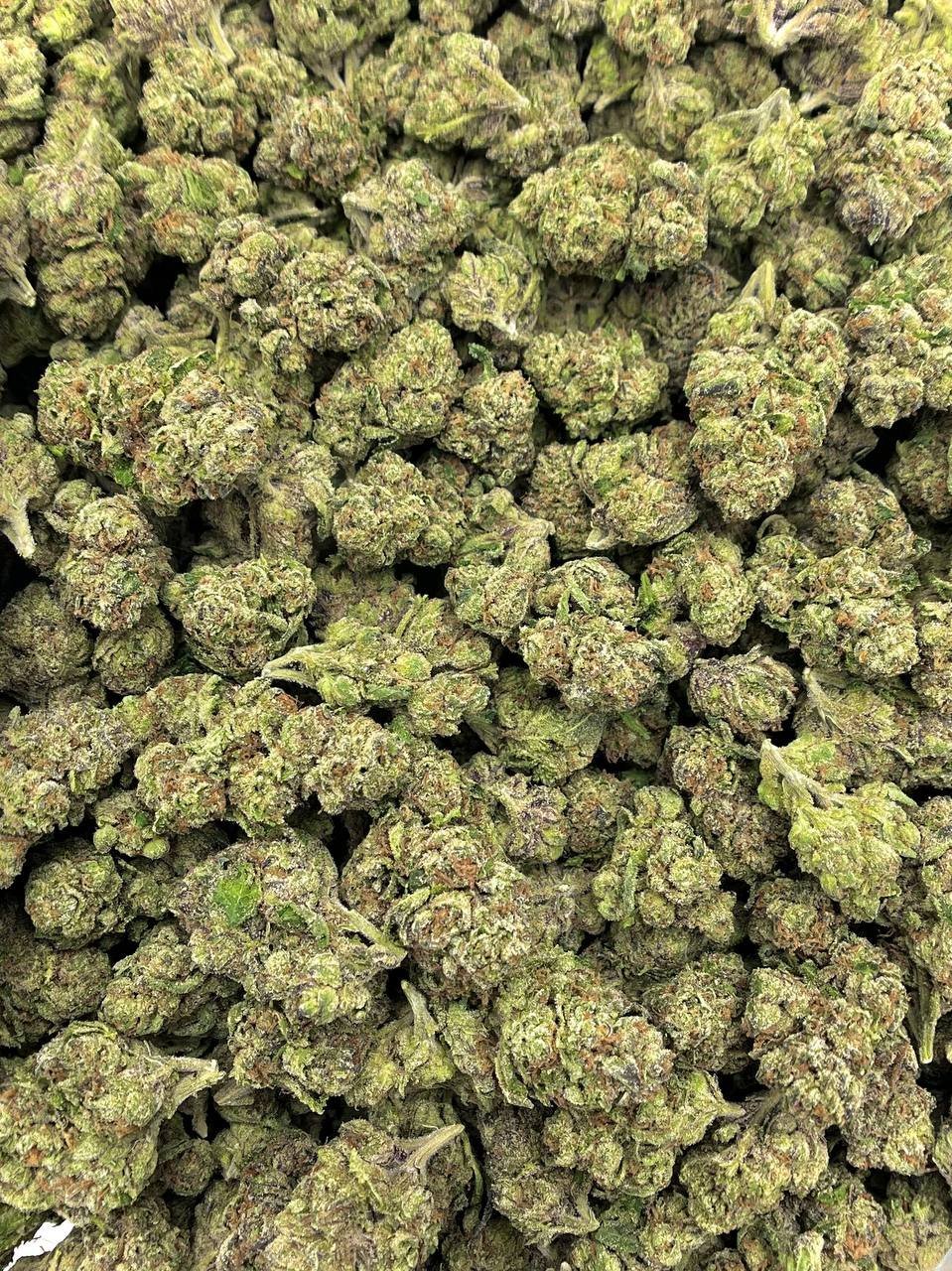 Buy Premium Baby Runtz THCa Flower – Perfectly Potent, Flavor-Packed ...