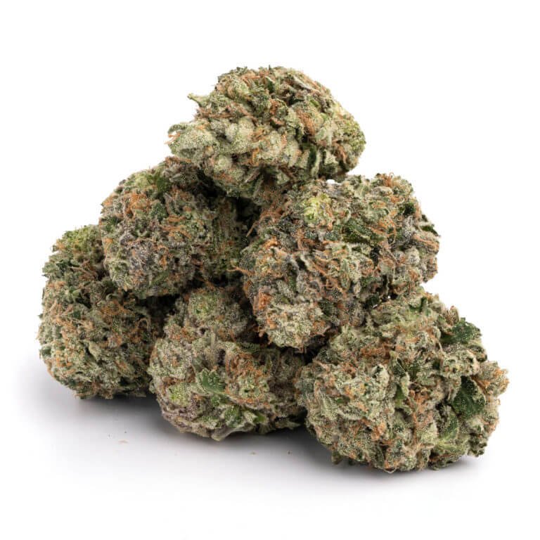 Buy Governmint Oasis THCa Flower – Premium Cannabis For UK And EU ...